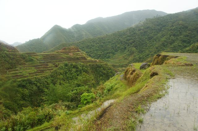 Banaue - Batad : les rizières en terrasse (25 au 28 Mars 2014) | Salut ...