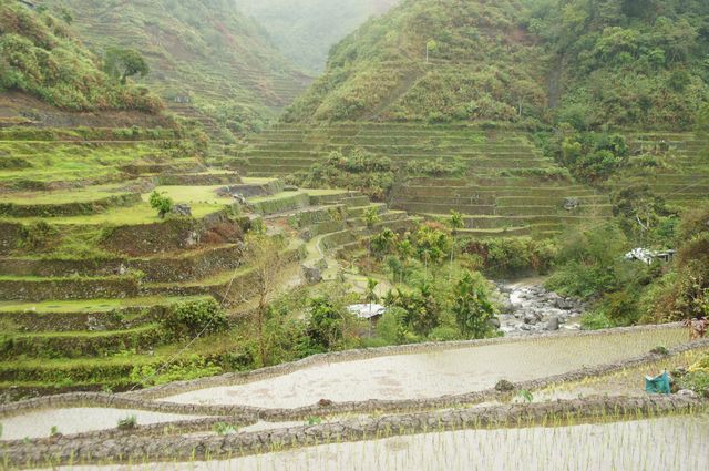 Banaue - Batad : les rizières en terrasse (25 au 28 Mars 2014) | Salut ...
